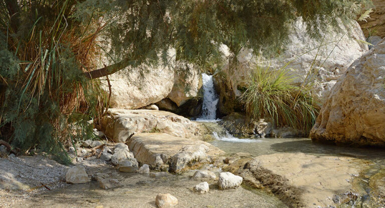 En Gedi – Israel My Glory